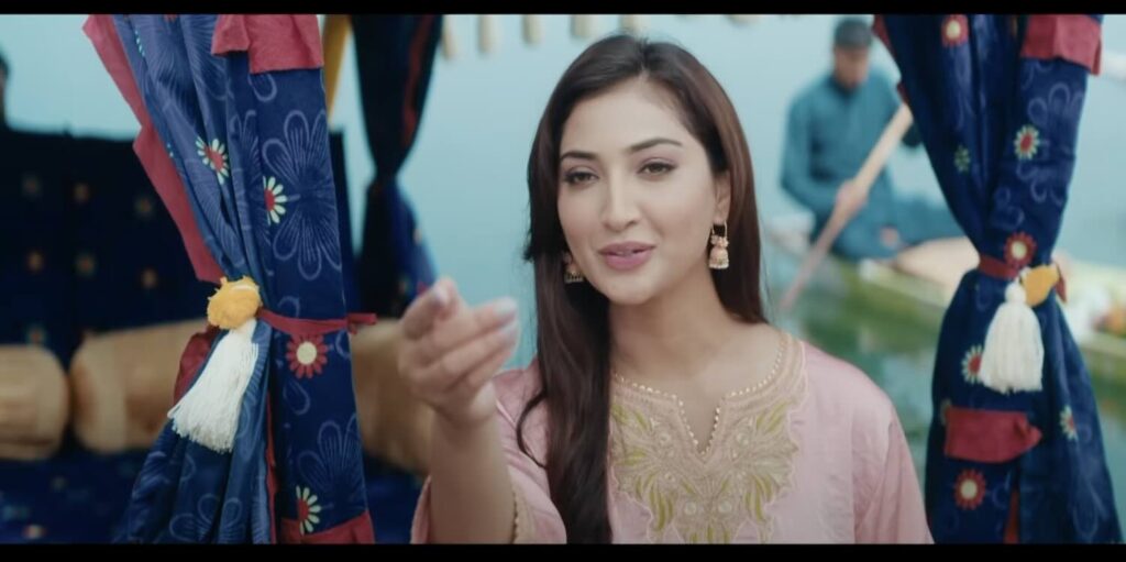 Pashmina Serial Cast (SAB TV) Actors Name, Photos, Story