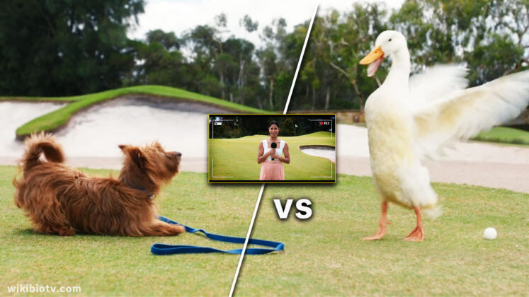 10 Epic Comedy Scenes from 'RICKY STANICKY' With Ending Explanation