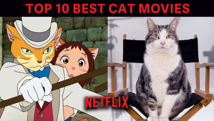 Top 10 Best Cat Movies on Netflix