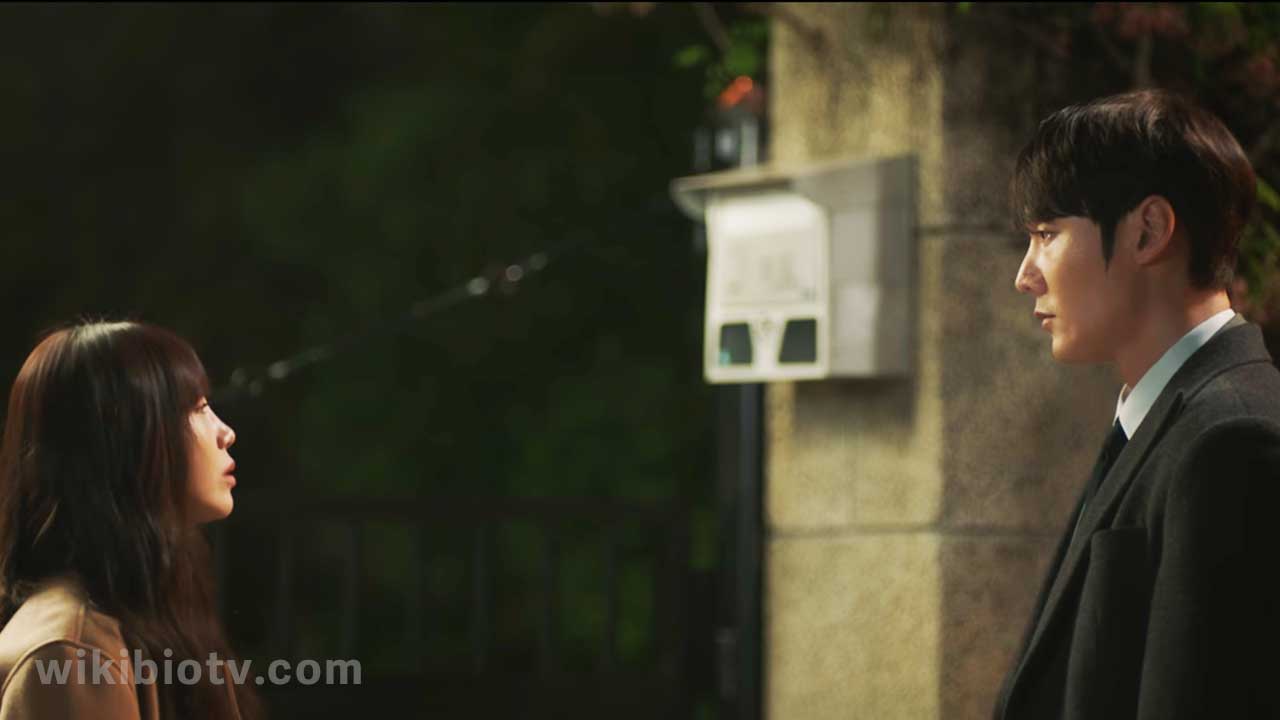 "Miss Night And Day" Ending Explained:How Does Mi-Jin's Dual Life Help ...