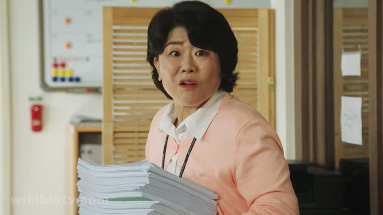 "Miss Night And Day" Ending Explained:How Does Mi-Jin's Dual Life Help ...